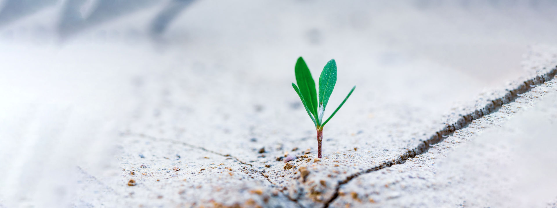 CONVERGE Team - CONVERGE | Natural Hazards Center